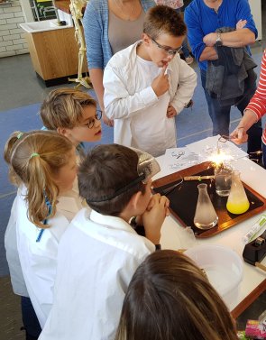 Forscherwerkstatt | WebPackage