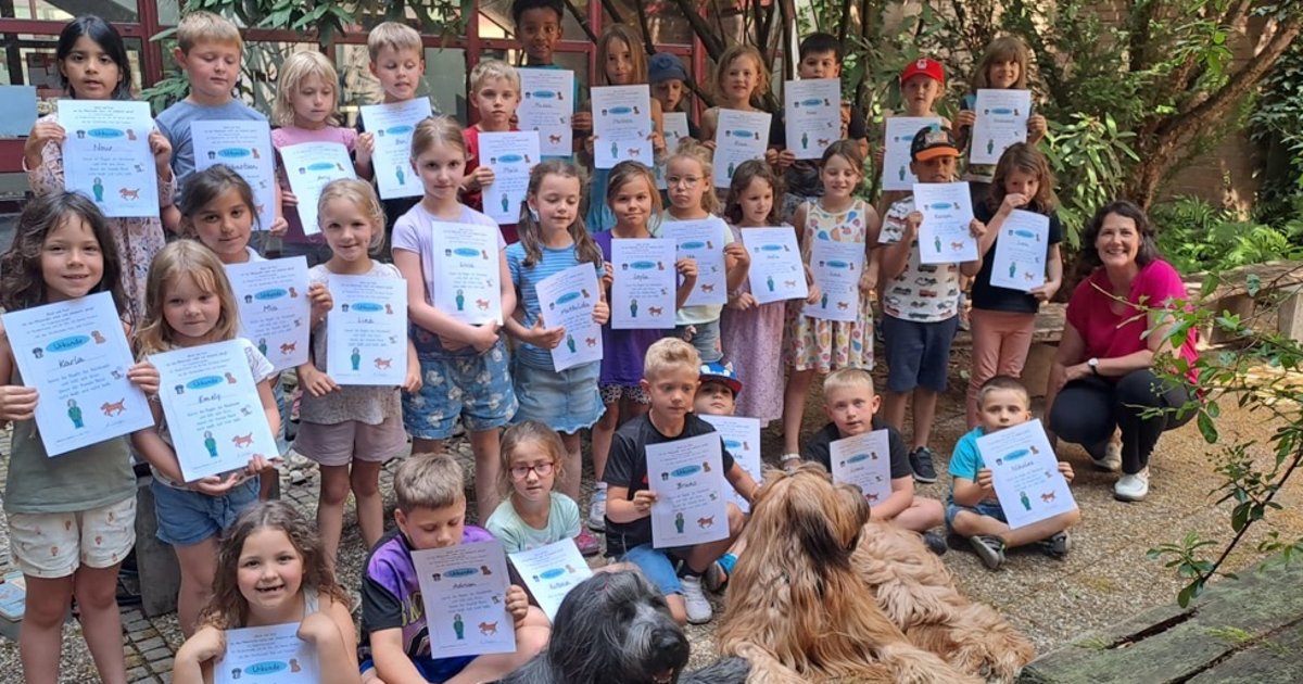 Kooperation Schulhund | WebPackage