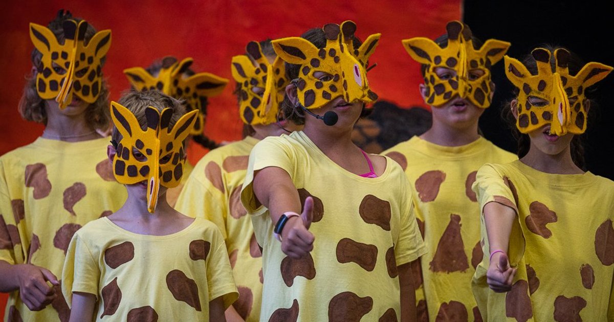 Musisches Band | WebPackage