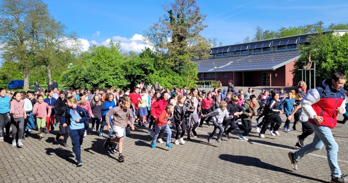 Spendenlauf | WebPackage